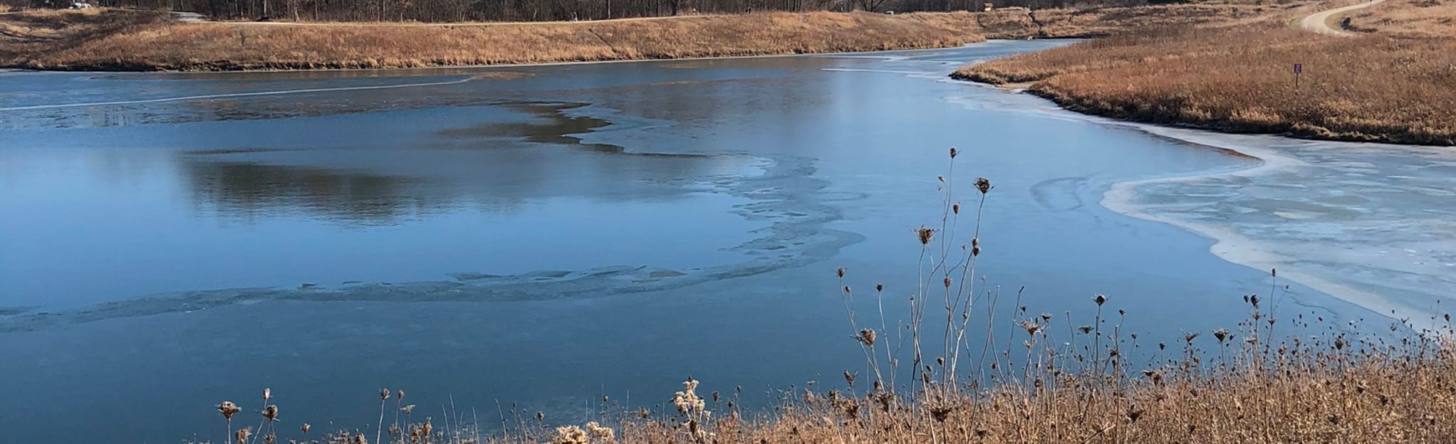 Maple Lake Trail, Illinois - 309 Reviews, Map | AllTrails