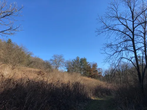 Best Hikes and Trails in Ridgeway Pine Relict State Natural Area ...