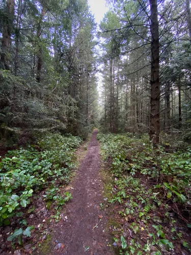Best Hikes and Trails in Miller Peninsula State Park | AllTrails
