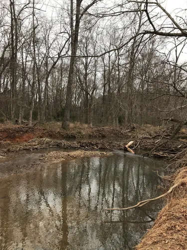 10 Best Hikes and Trails in Duke Forest Korstian Division | AllTrails