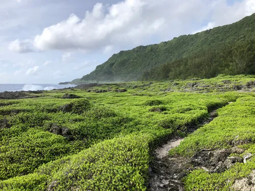 10 Best Trails and Hikes in Guam | AllTrails