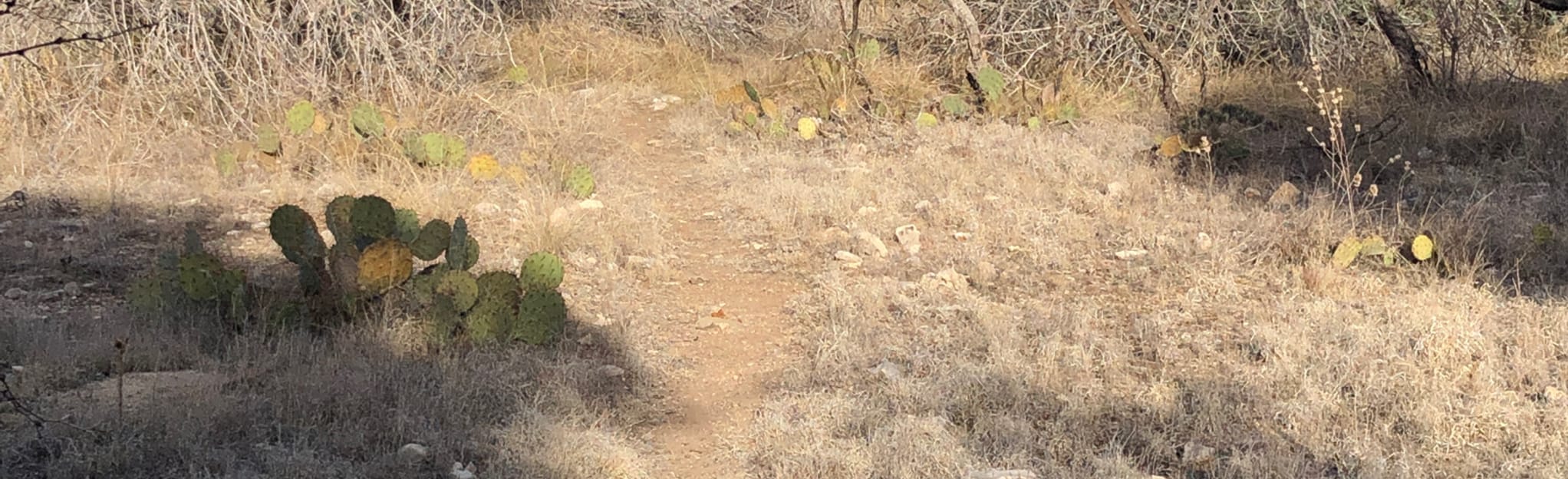 X-Bar Ranch Green Trail: 13 Reviews, Map - Texas | AllTrails