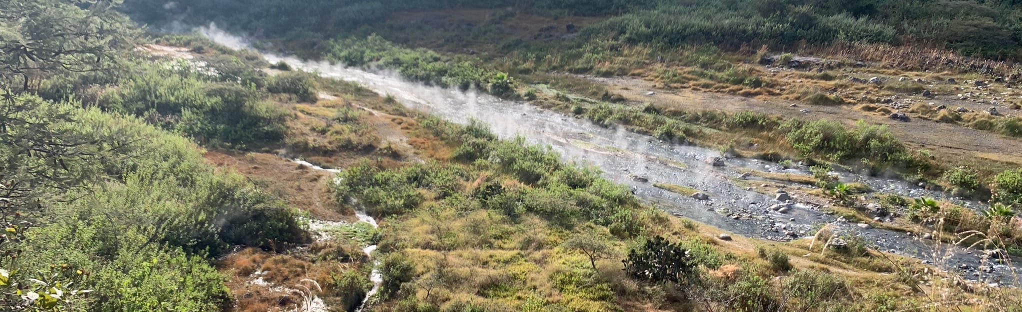 Río Agua Caliente via Avenida del Bosque, Jalisco, Mexico - 11 Reviews ...