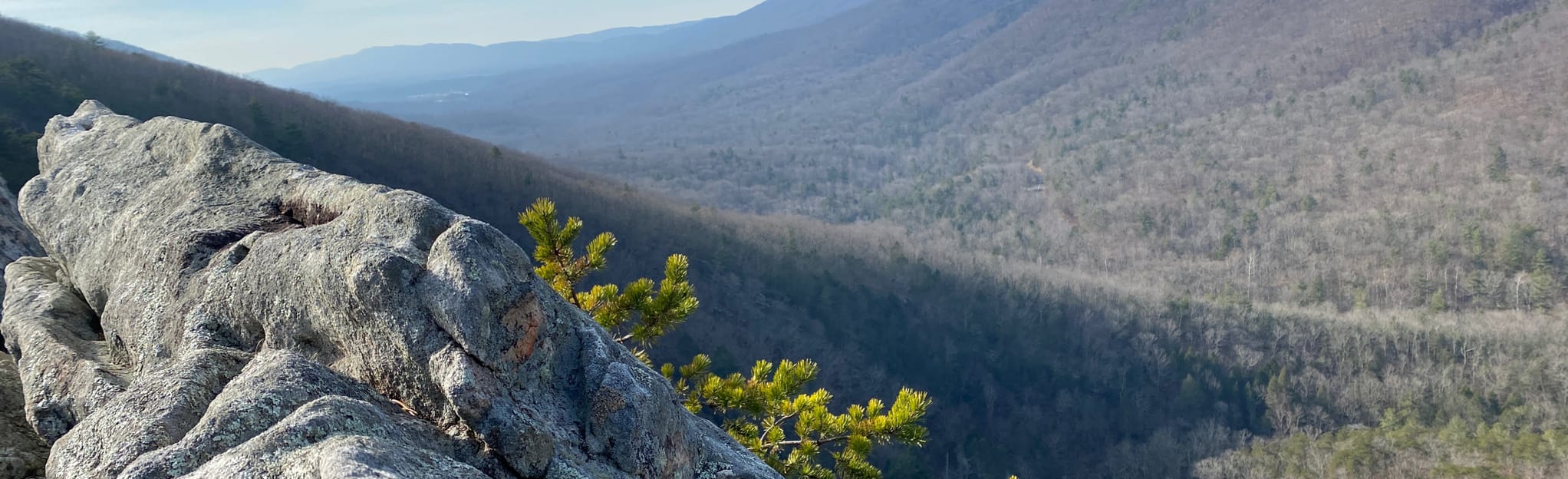 Buzzard Rock and High Peak Circuit: 2.055 fotos - Virgínia | AllTrails