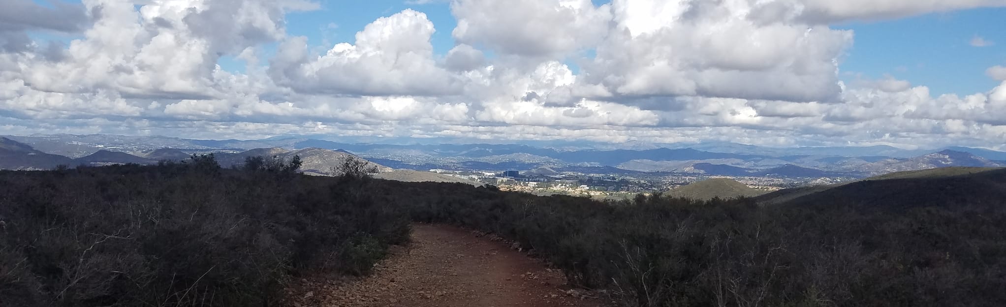 Nighthawk Trail Loop: 299 Reviews, Map - California | AllTrails