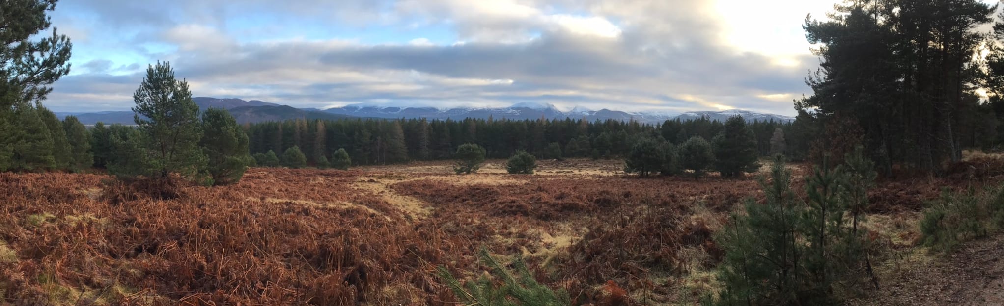 High Burnside Lower Forest Road, Highlands, Scotland - Map, Guide ...