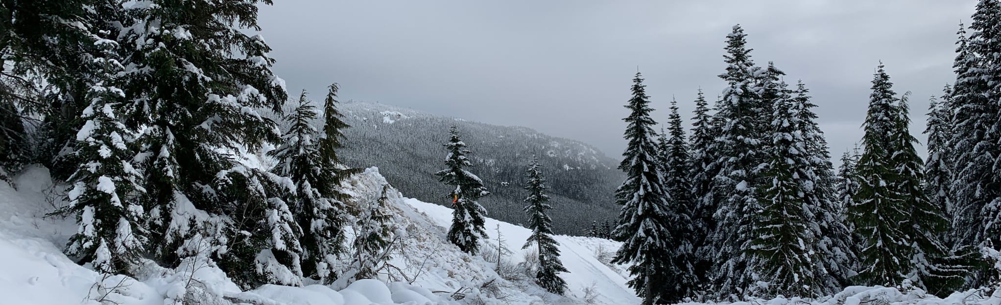 Biathlon Snowshoe Loop, British Columbia, Canada - 7 Reviews, Map ...