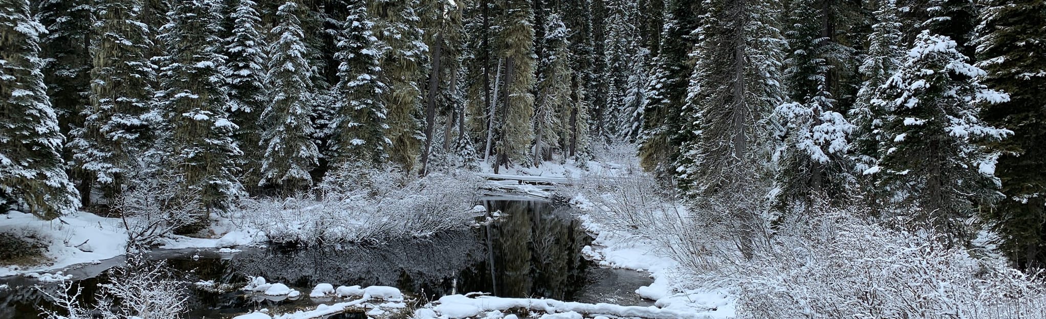 Gold Lake Trail, Oregon - 33 Reviews, Map | AllTrails