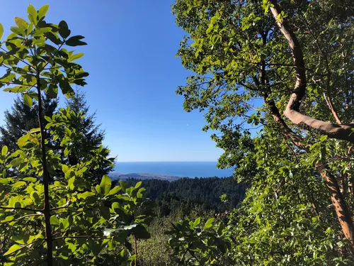 10 Best Trails and Hikes in Woodside | AllTrails
