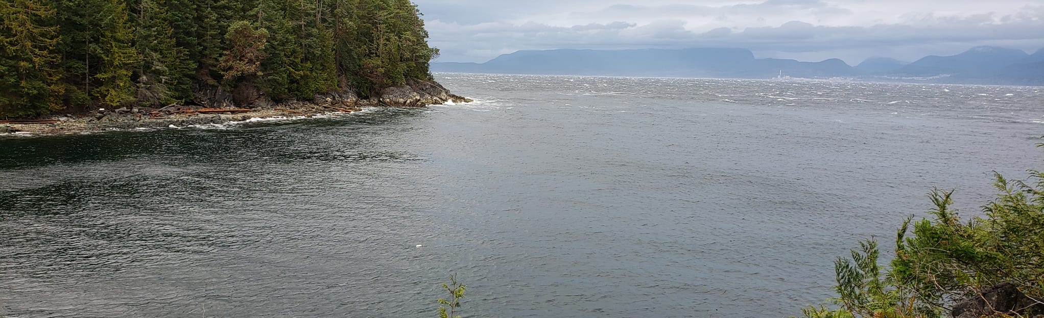 Eagle Cove Viewpoint Loop: 185 foto's - Brits-Columbia, Canada | AllTrails