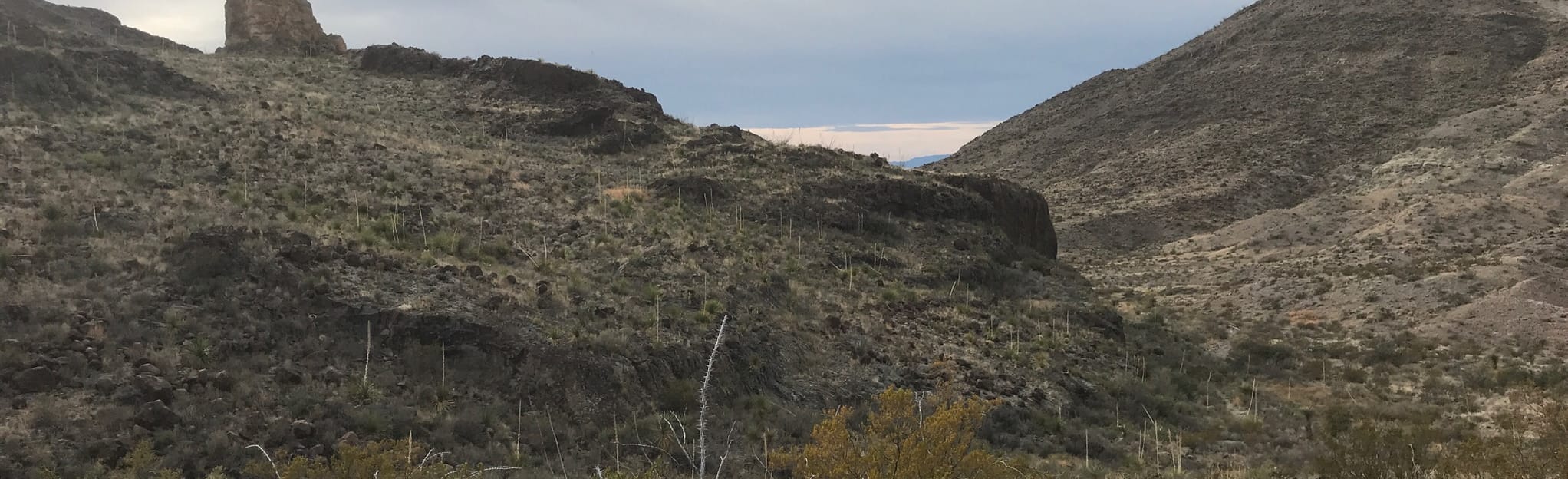 Burro Spring Trail, Texas - 93 Reviews, Map | AllTrails