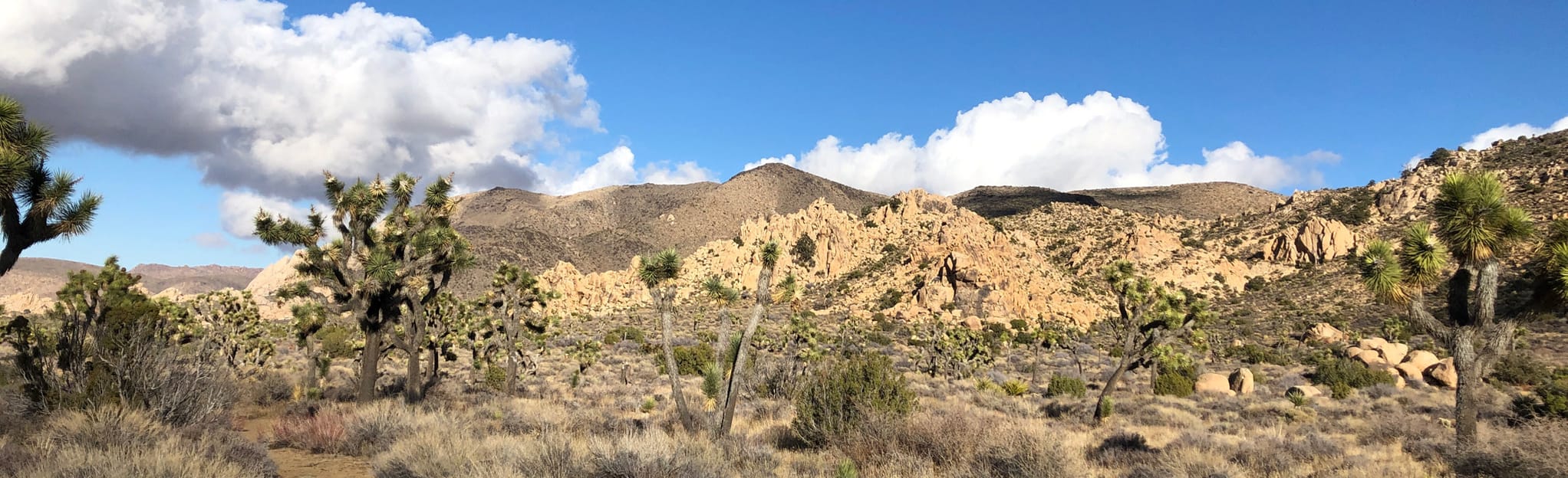 Ryan Ranch and Big Trees Trail, California - 126 Reviews, Map | AllTrails