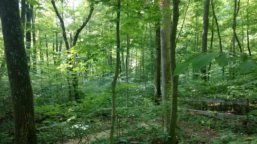 Best Hikes and Trails in Boone Cliffs | AllTrails