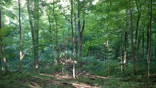 Best Hikes and Trails in Boone Cliffs | AllTrails