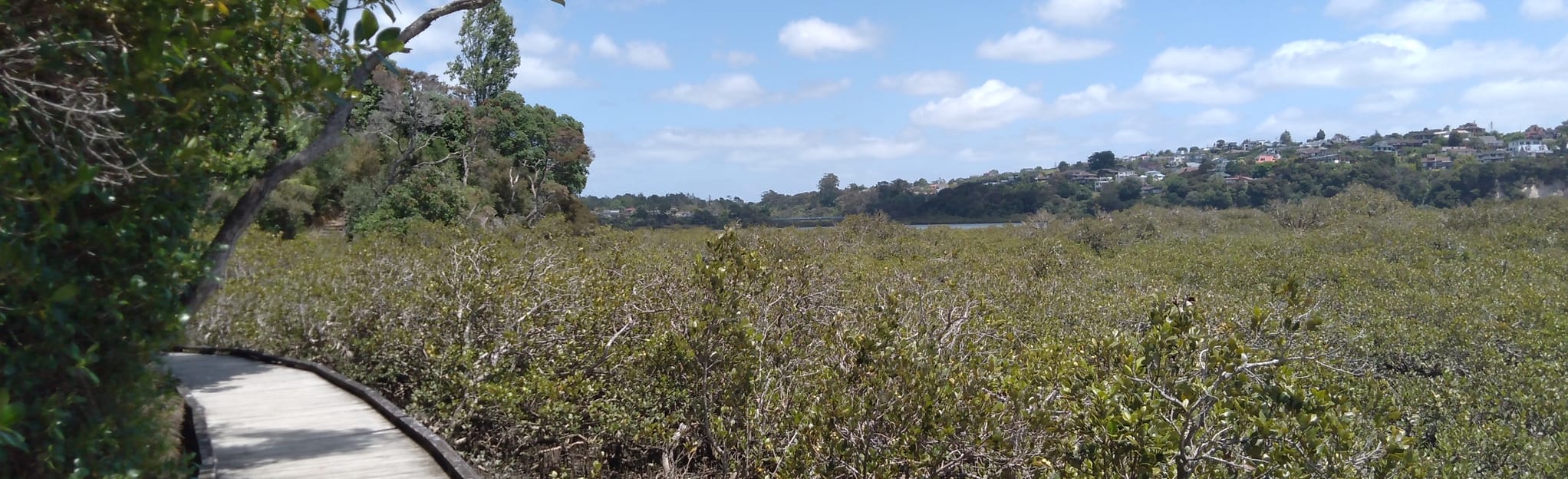 Te Atatu Walkway - Auckland, New Zealand | AllTrails