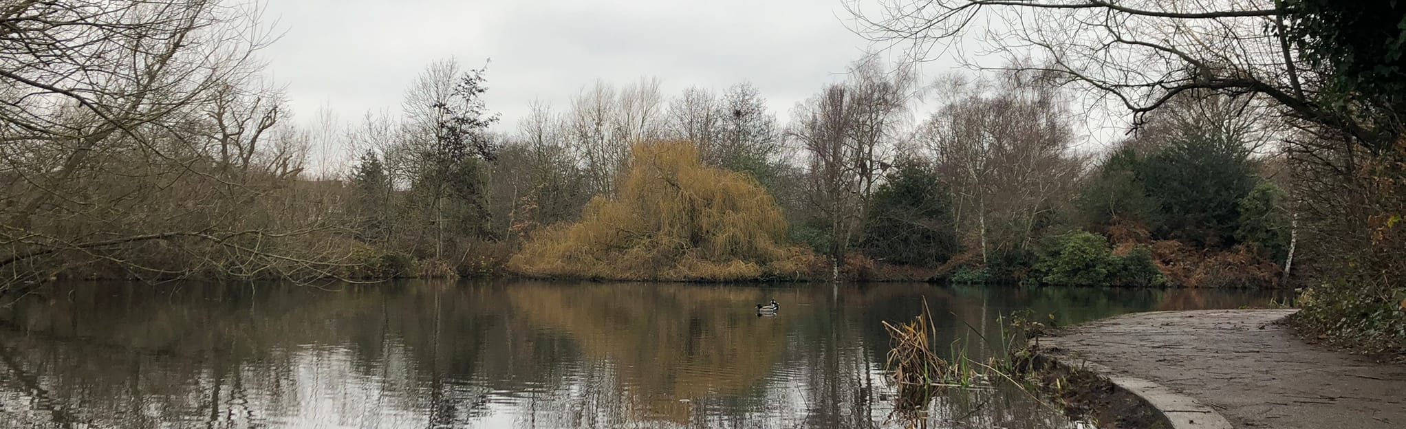 Capital Ring Walk Section 5: Streatham Common to Wimbledon Park, London ...