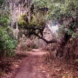 Government Canyon Loop, Texas - 68 Reviews, Map | AllTrails