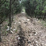 Government Canyon Loop, Texas - 68 Reviews, Map | AllTrails