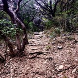 Government Canyon Loop, Texas - 68 Reviews, Map | AllTrails