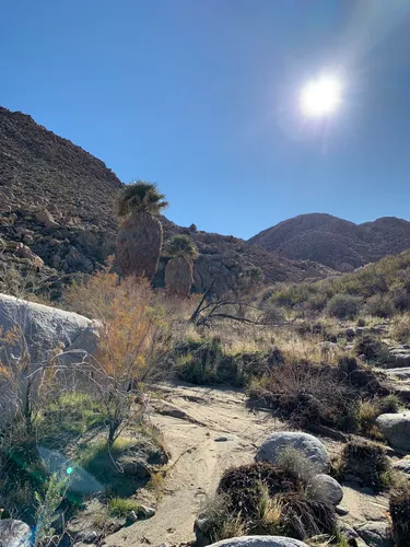 Best Hikes and Trails in Jacumba Wilderness Area | AllTrails