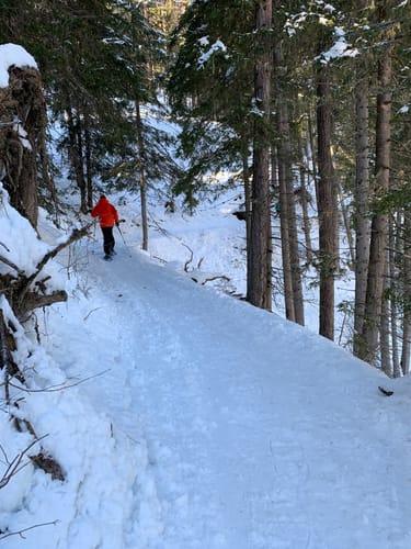 2023 Best 10 Trails, Walks, and Paths in Liddes | AllTrails