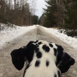 Uhthoff Trail: Orillia to Waubaushene, Ontario, Canada - 88 Reviews ...