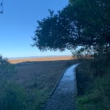 Turtleback Point Loop, California - 155 Reviews, Map | AllTrails