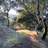 Turtleback Point Loop, California - 155 Reviews, Map | AllTrails