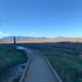 Turtleback Point Loop, California - 155 Reviews, Map | AllTrails