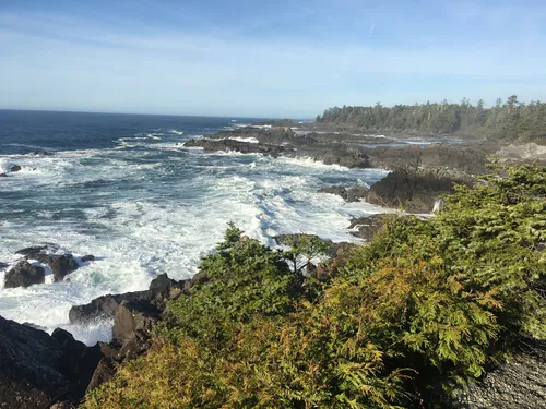 10 Best Trails and Hikes in Ucluelet | AllTrails