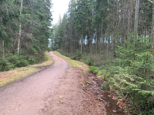 Best Lake Trails in Rya Åsar Nature Reserve | AllTrails