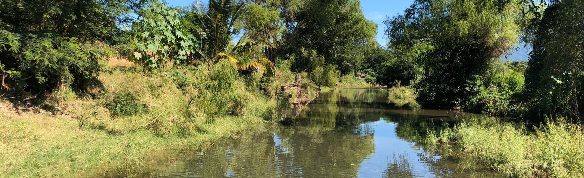 Lo de Marcos - Pico Monteon: 10 Reviews, Map - Nayarit, Mexico | AllTrails