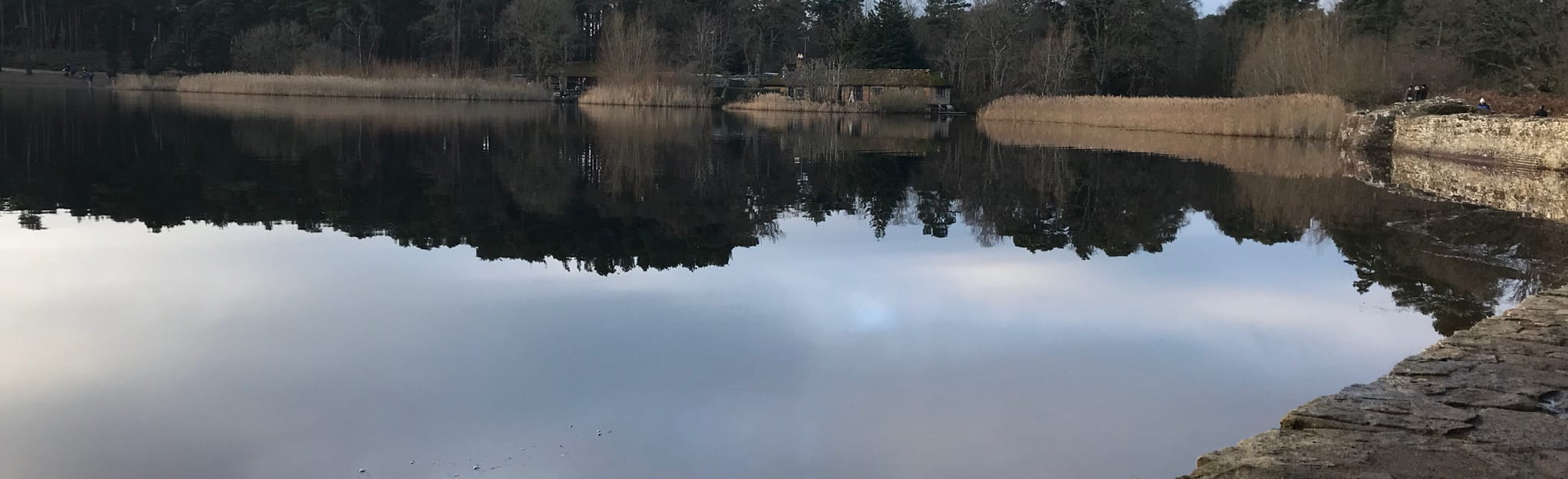 Frensham Great and Little Ponds: 248 Reviews, Map - Surrey, England ...