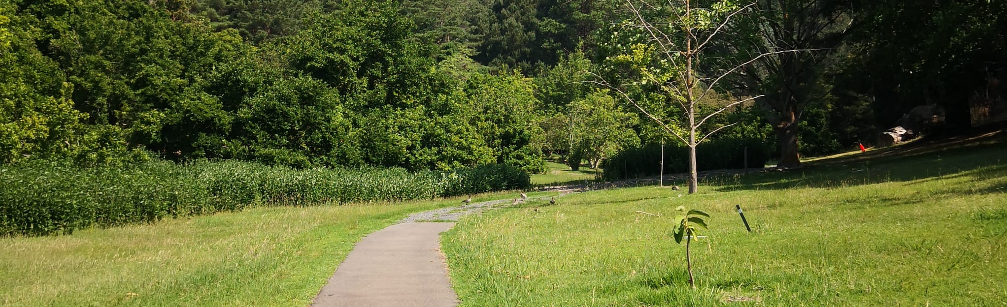 Mount Lofty Summit Circuit, South Australia, Australia - 104 Reviews ...