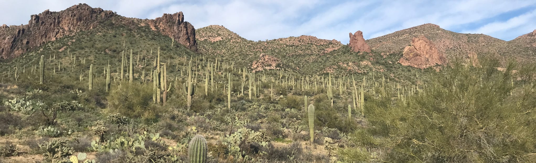 Whiskey Spring Red Tanks Miners Canyon Loop Trail, Arizona - 32 Reviews ...