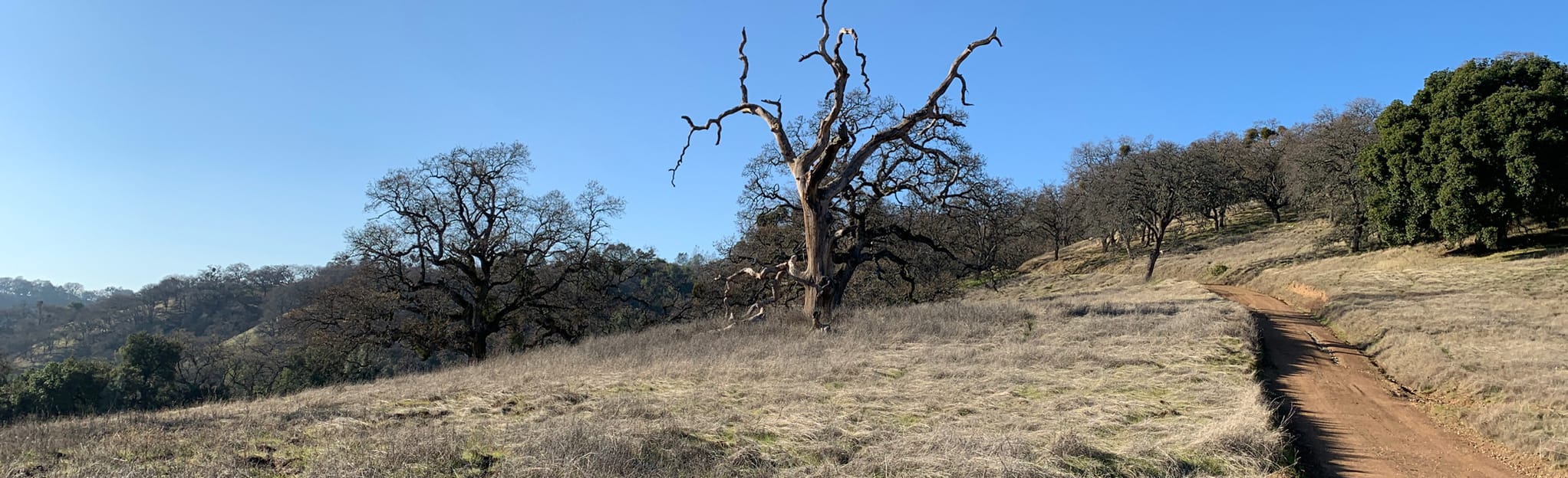 Lost Springs Loop, California - 15 Reviews, Map | AllTrails