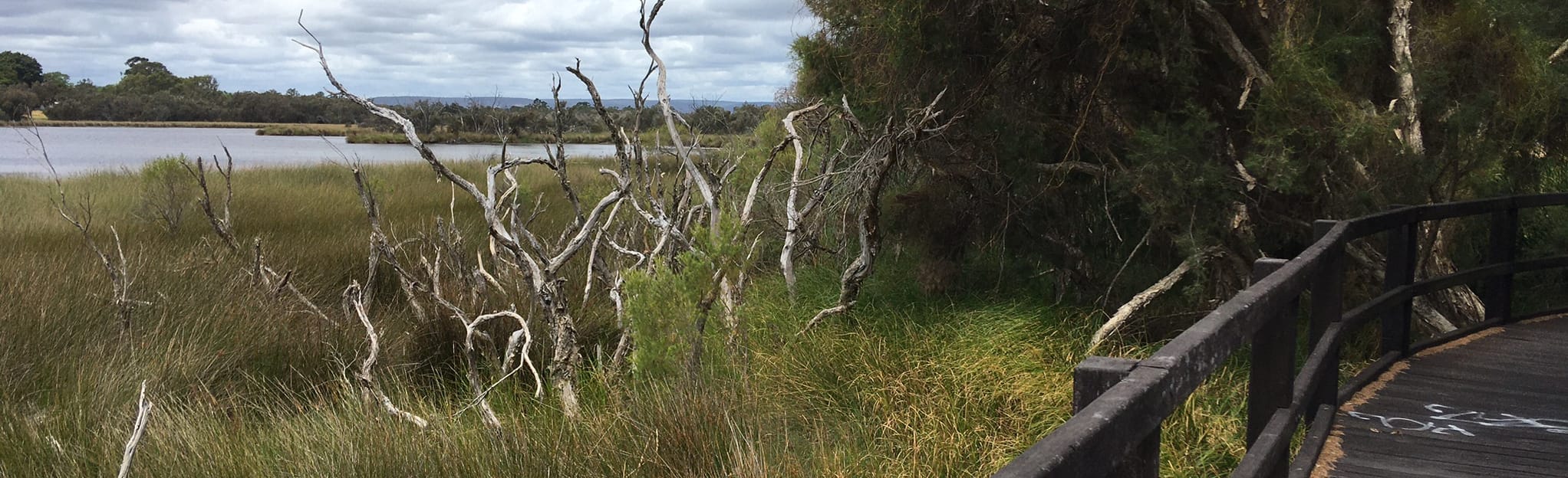AllTrails | Canning River Regional Park Loop: 95 Reviews, Map - Western ...