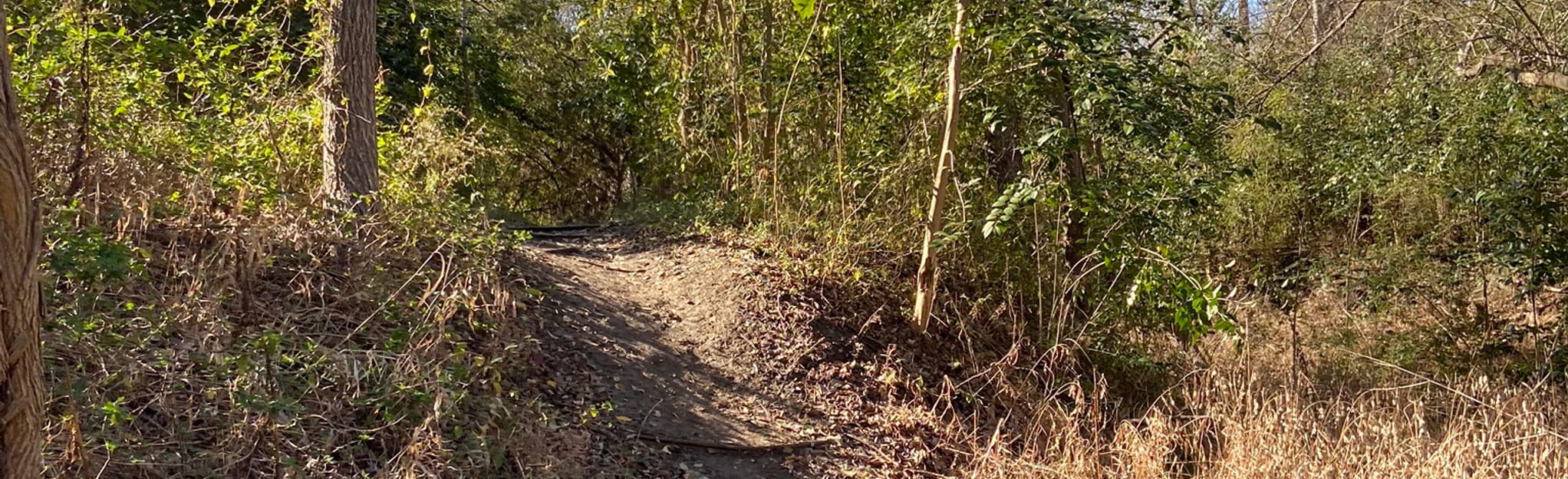 Pettinger Nature Preserve Loop, Texas - 32 Reviews, Map | AllTrails