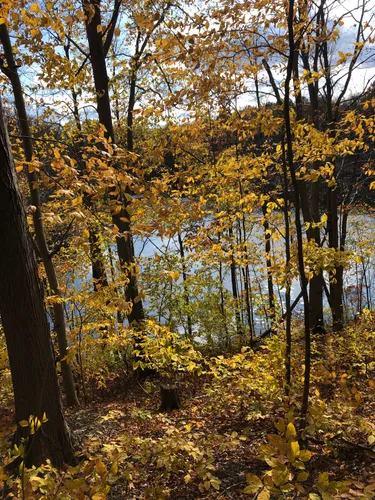 10 Best Trails and Hikes in Tully | AllTrails