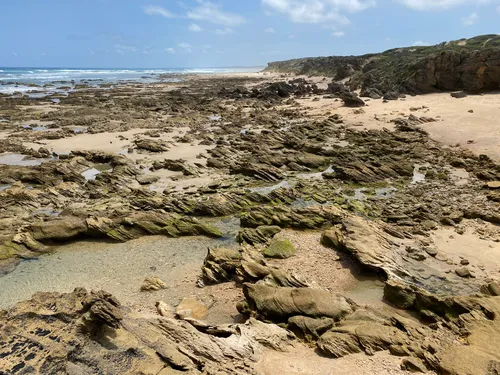 Best Beach Trails in Cape Liptrap Coastal Park | AllTrails