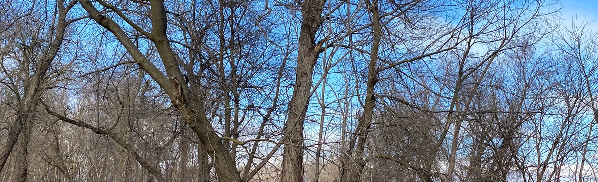 Cedar Valley Lakes Trail: Wyth Road to Big Woods Road: 96 Reviews, Map ...