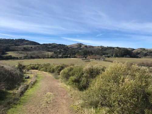 10 Best Trails and Hikes in Mount Hamilton | AllTrails