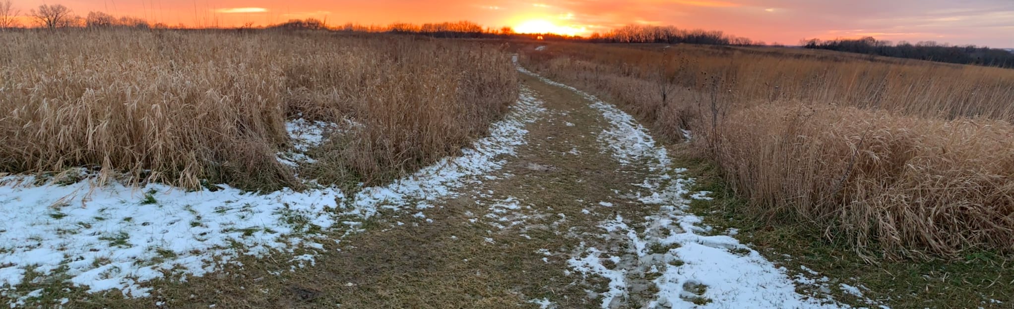 Whitewater Canyon Trail: 193 Reviews, Map - Iowa | AllTrails