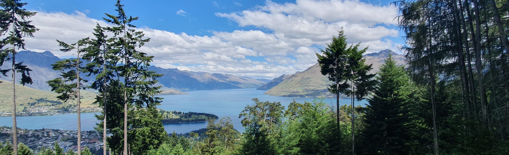 Tiki Walking Track: 339 foto - Otago, Nuova Zelanda | AllTrails