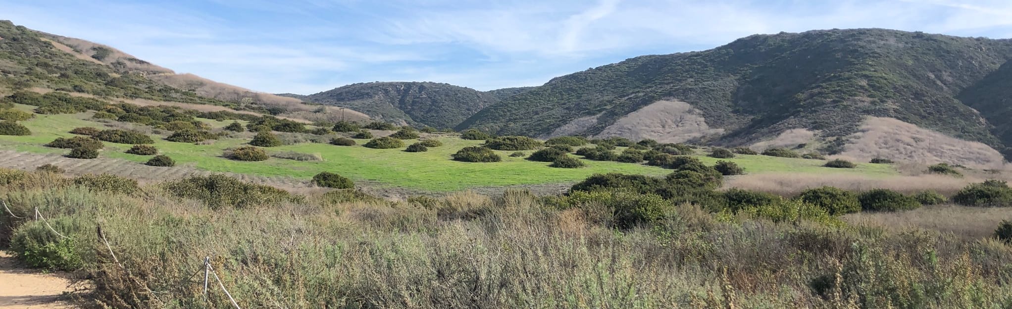 El Moro Canyon Short Loop, California - 2,059 Reviews, Map | AllTrails