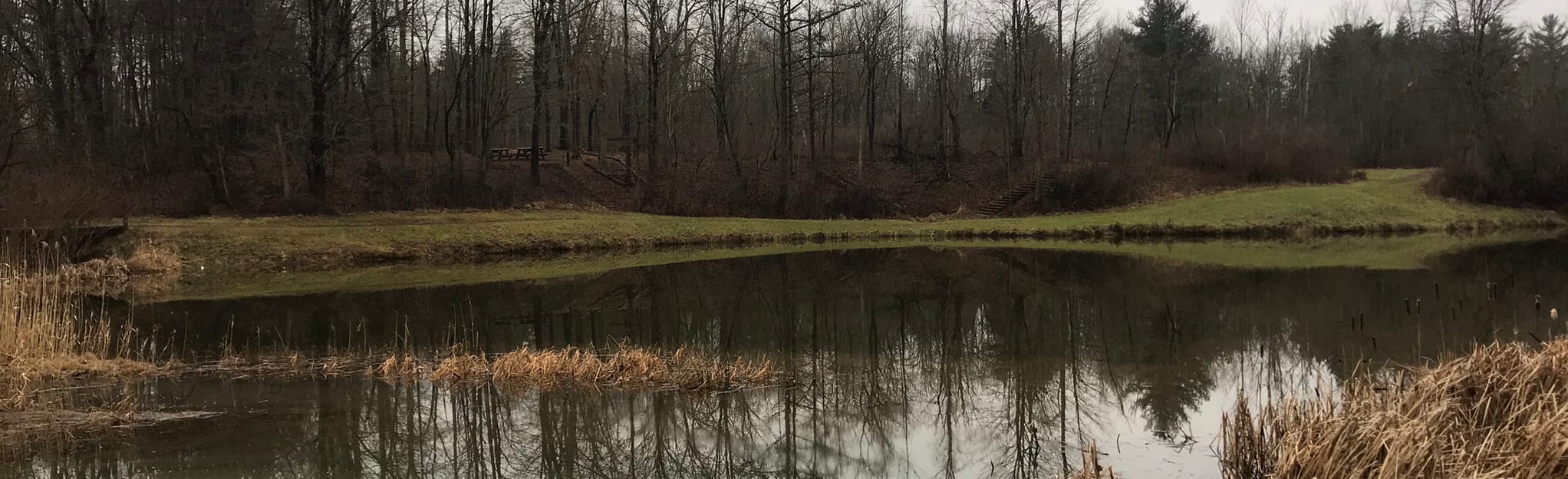 Shadow Lake Loop: 45 Reviews, Map - Ohio | AllTrails