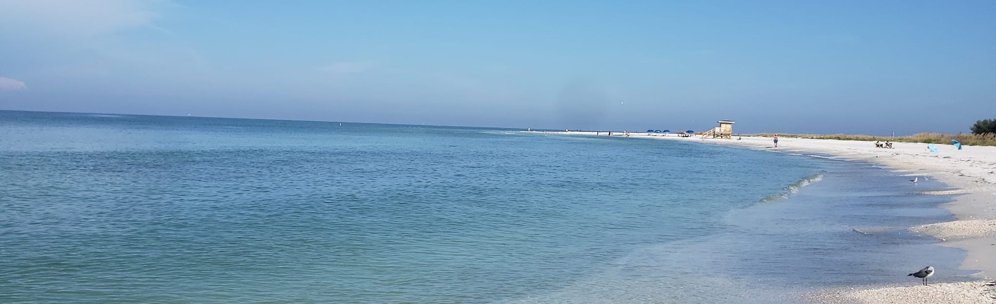 Lido Key Beach Walk - Florida | AllTrails
