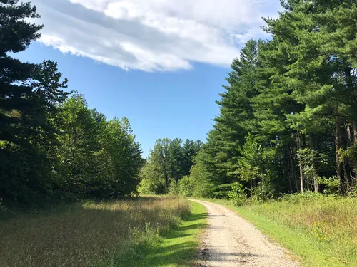 Best Hikes and Trails in Fernald Preserve | AllTrails