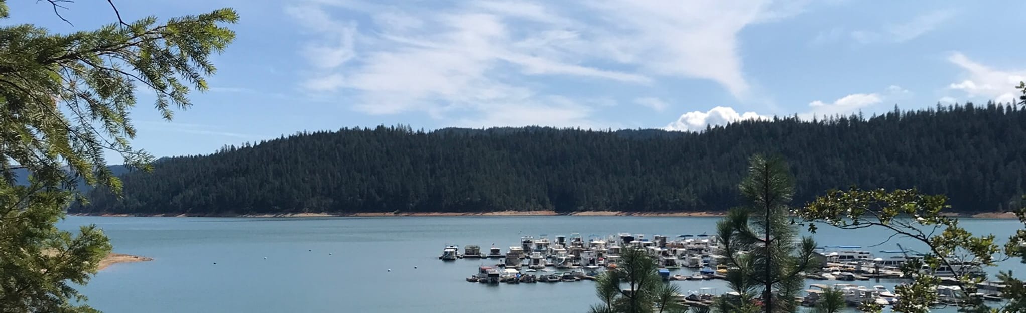 Trinity Lakeshore Trail: 40 Reviews, Map - California | AllTrails