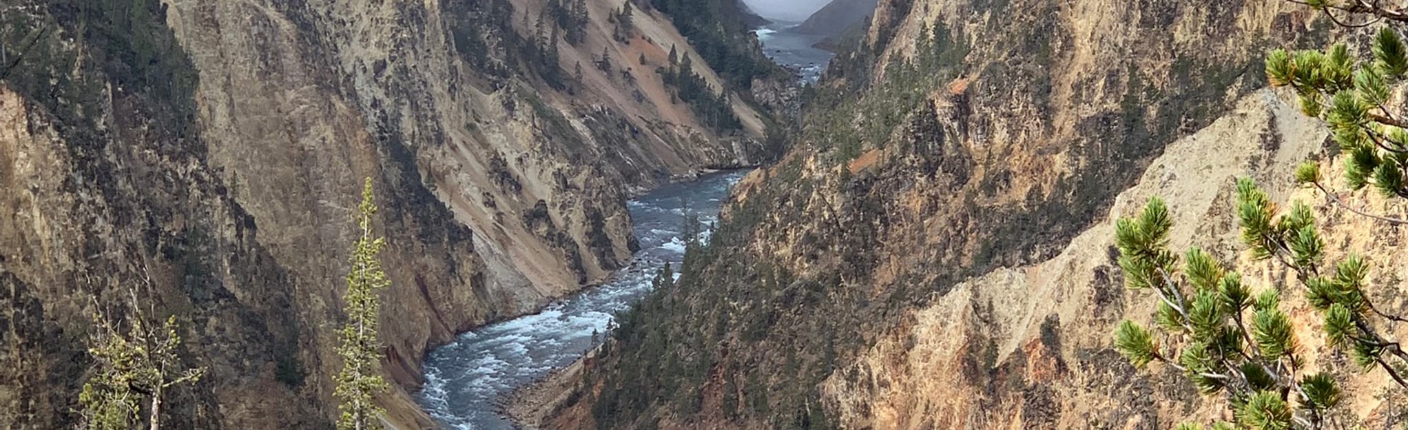 Artist Point, Montana - 683 Reviews, Map | AllTrails